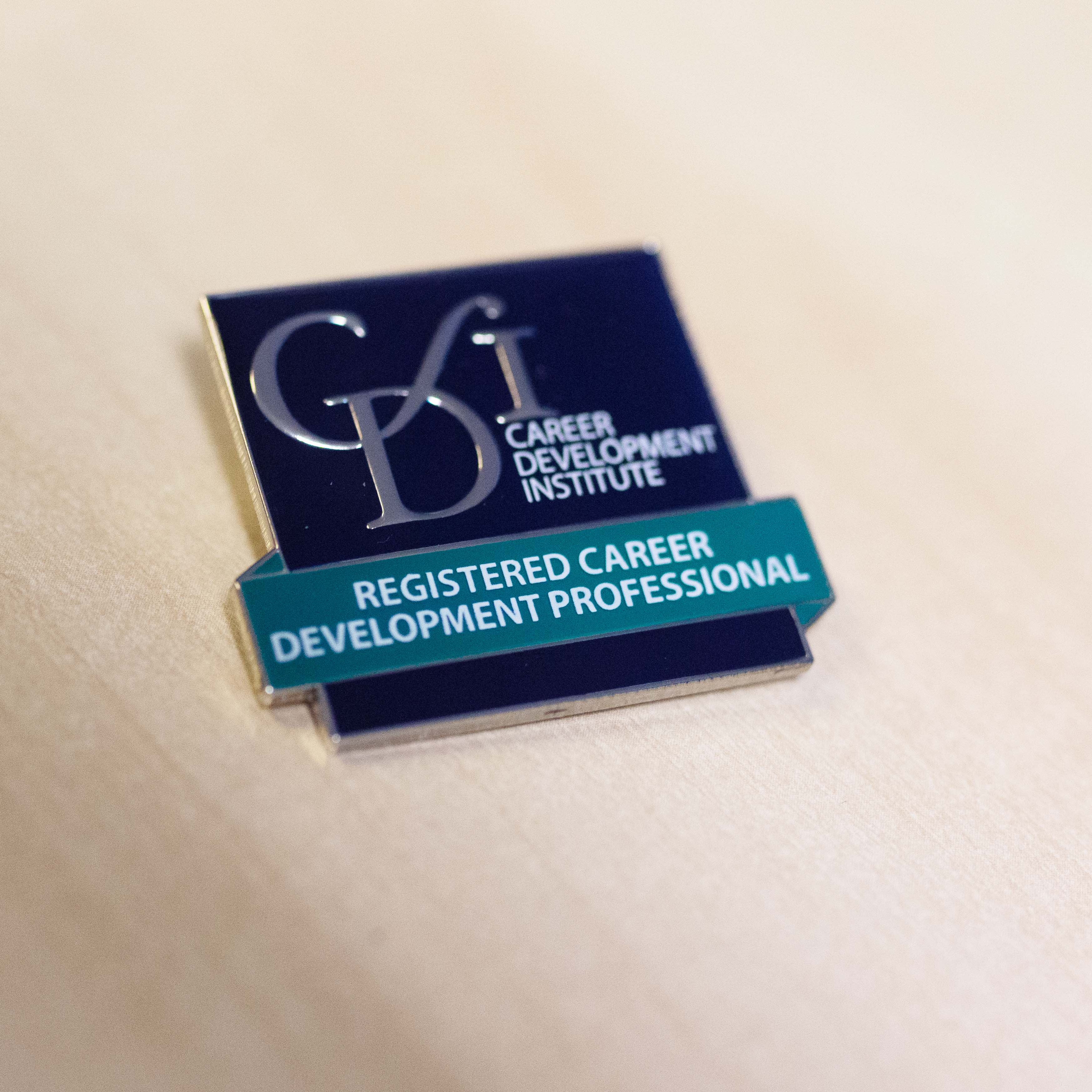 professional development institute